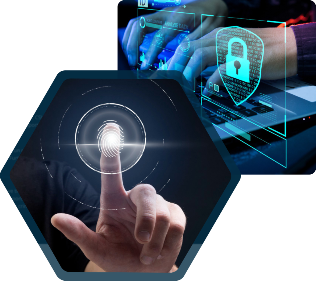 About Us – NBFTools